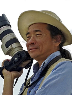 Livres de Tom Ang : bibliographie - Dunod