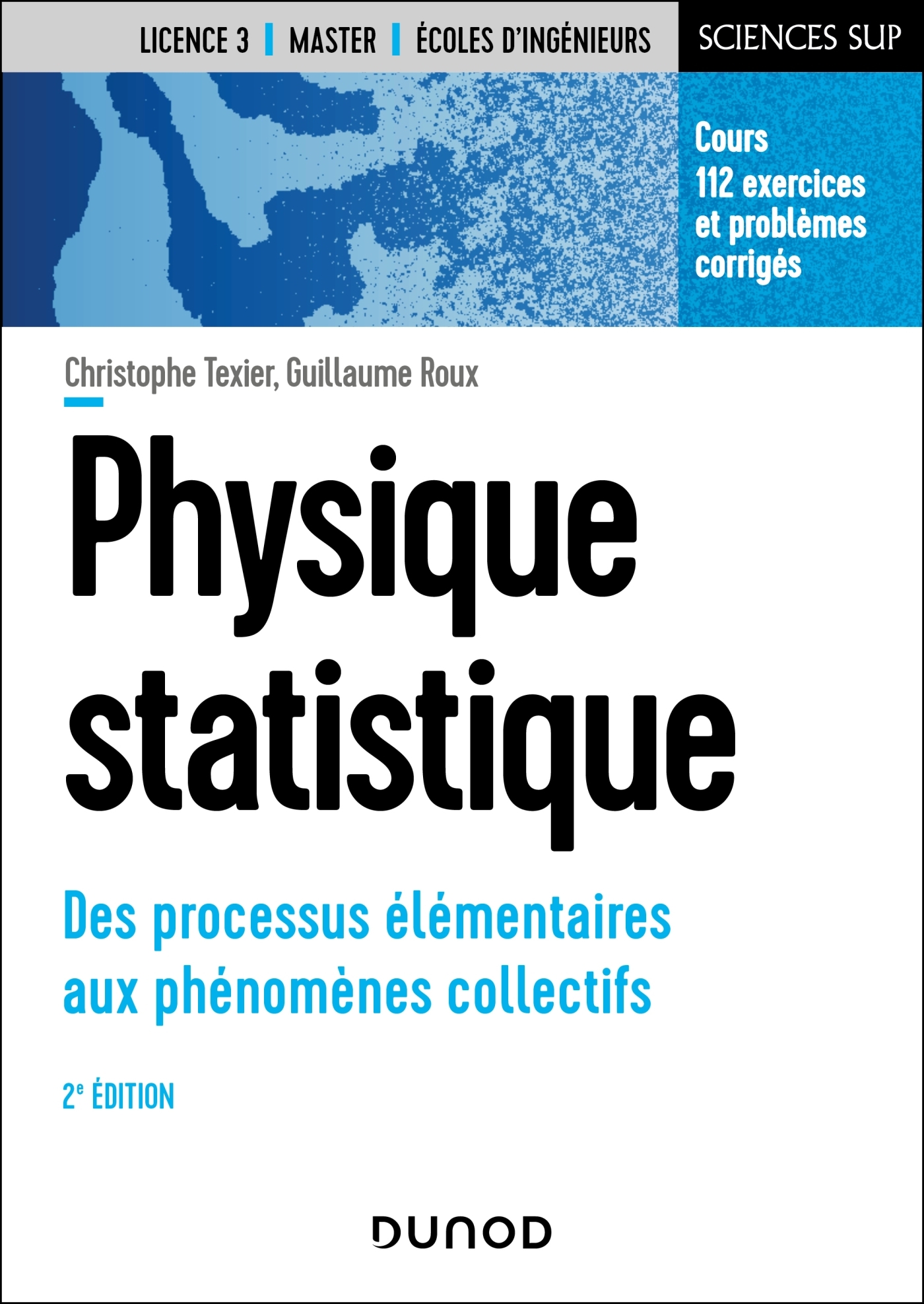 Physique statistique - Des processus élémentaires aux phénomènes ...