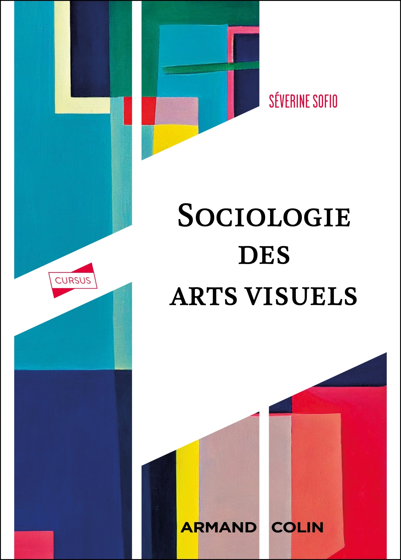Sociologie des arts visuels - Livre et ebook Sociologie générale de Séverine Sofio - Dunod